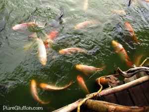 Fish Farm Thai Restaurant, Ampang - PureGlutton