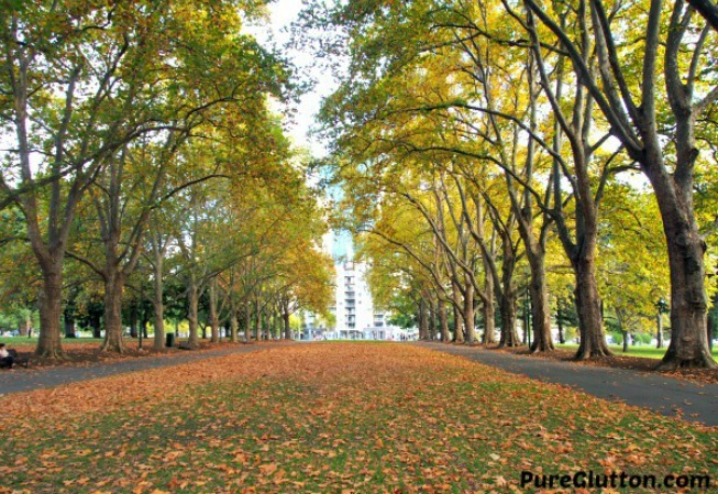 OLYMPUS DIGITAL CAMERA - PureGlutton