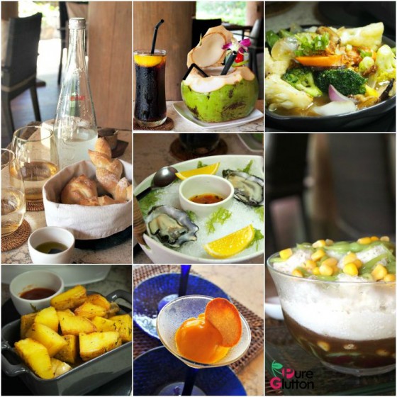 BC Misc Collage - PureGlutton