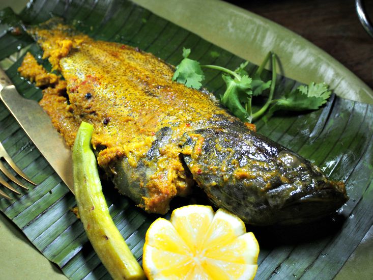 OLYMPUS DIGITAL CAMERA - PureGlutton