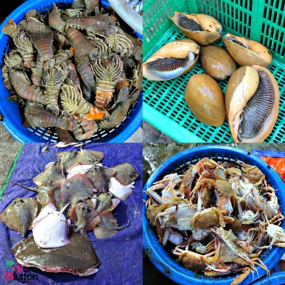 FISHERY Collage - PureGlutton