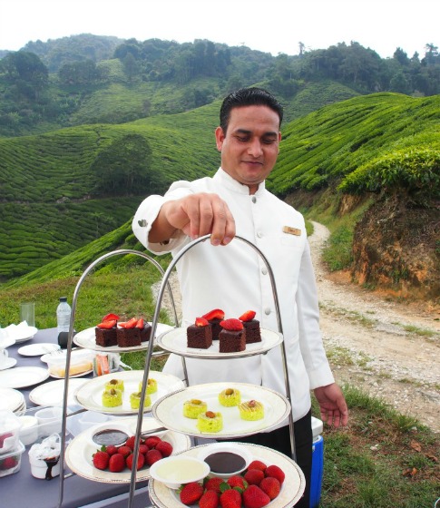 FP-picnin - PureGlutton