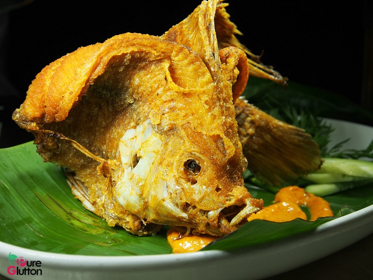 d-fish-front - PureGlutton