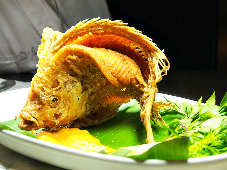 DANCING FISH, Bangsar Shopping Centre - PureGlutton