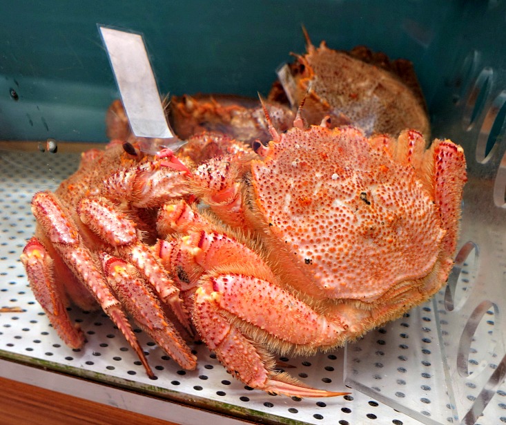 crabs1 - PureGlutton