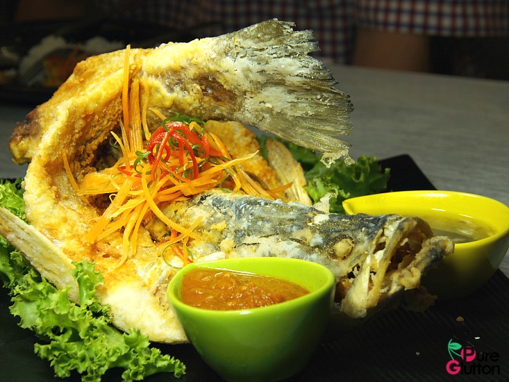 muay thai fish - PureGlutton