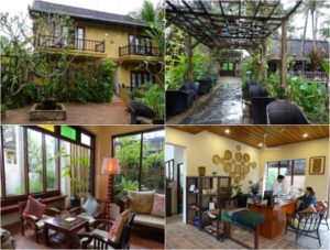 HOTEL Collage - PureGlutton